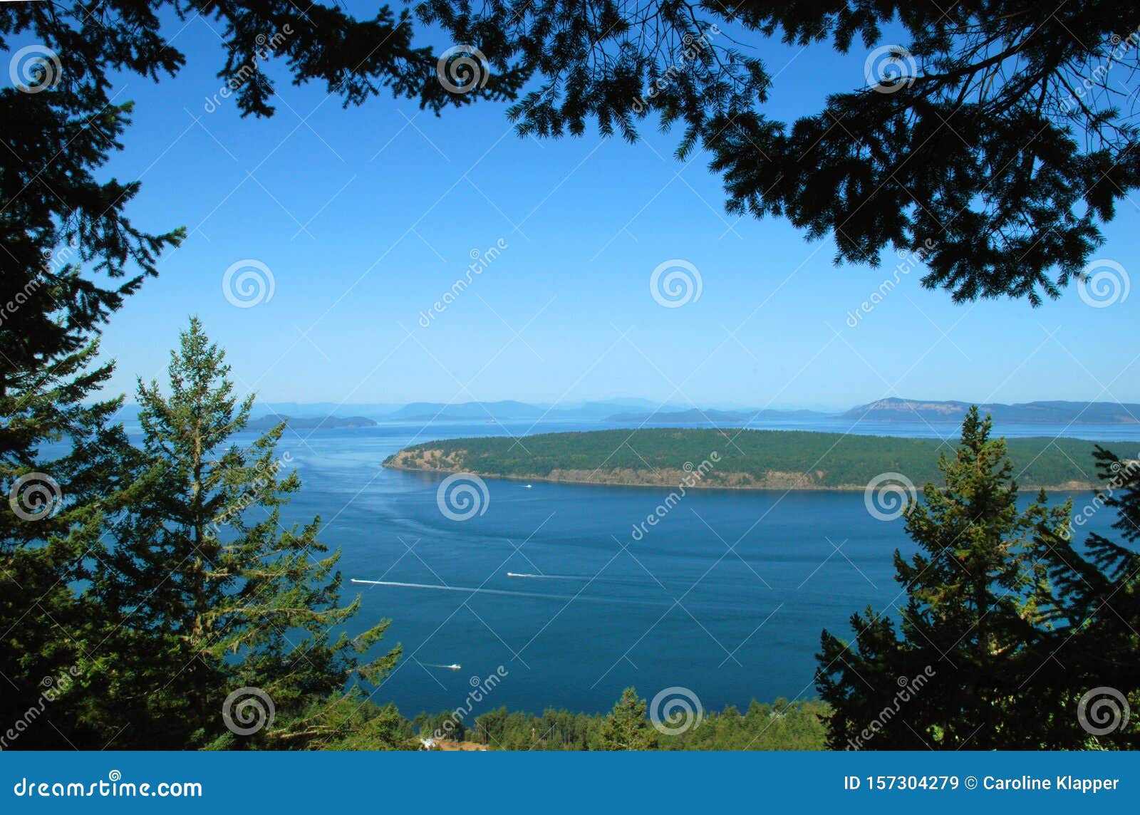 Trees on Turtleback Trail, Orcas Stock Image - Image of distance ...