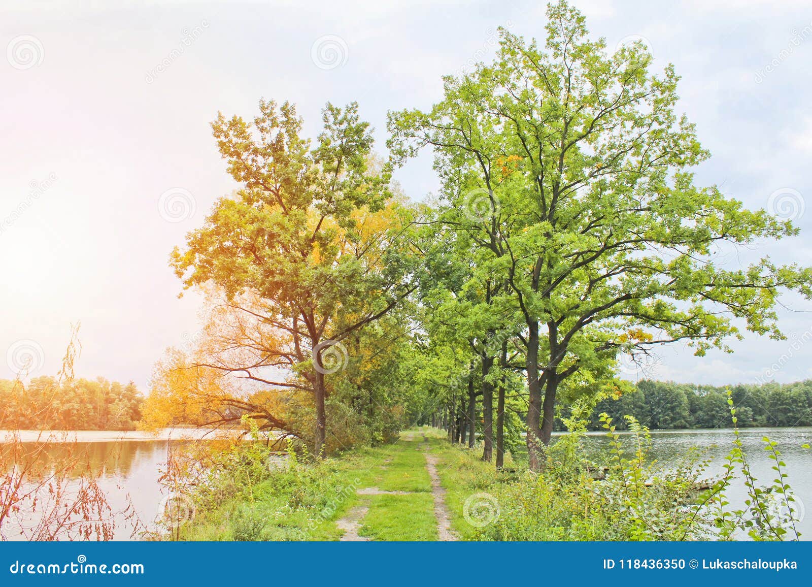 Trees between Two Pond with Path, Czech Landscape Stock Photo - Image ...