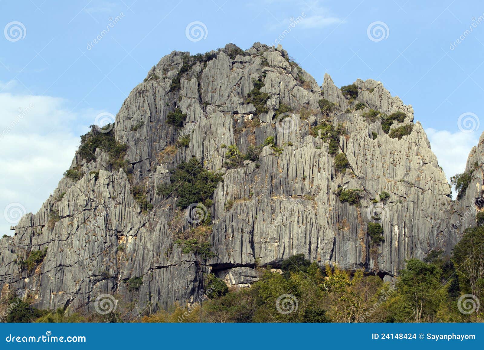 Trees under rocks. stock photo. Image of destination - 24148424