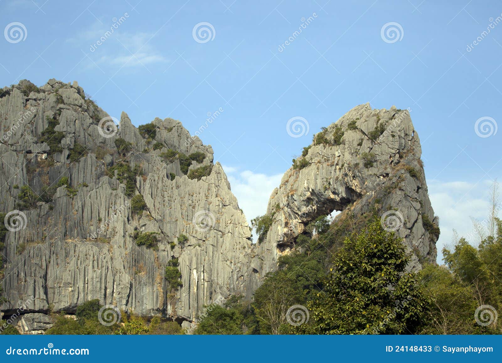Trees under rocks. stock image. Image of outcrop, escarpment - 24148433