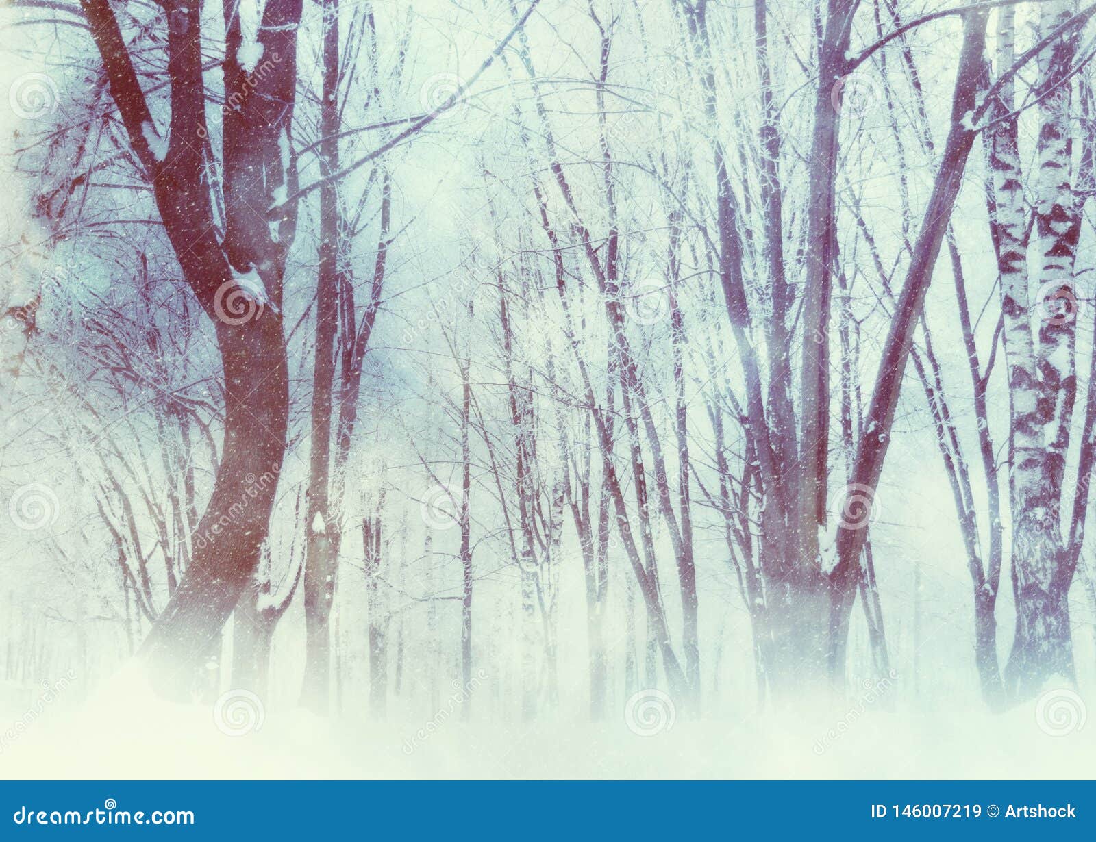 Trees Under Snowfall Design Stock Illustration - Illustration of park ...