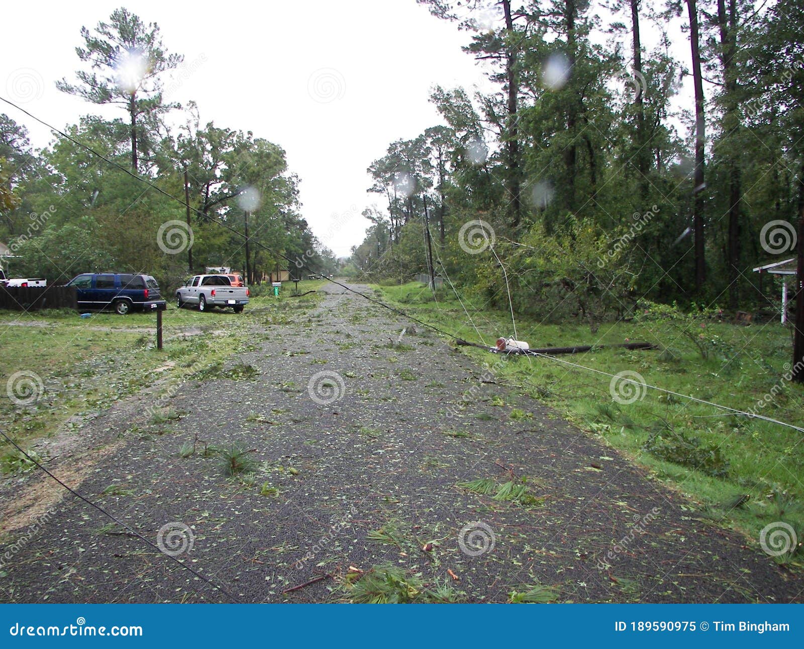 Trees and Utility Lines Down after Storm Editorial Image - Image of ...