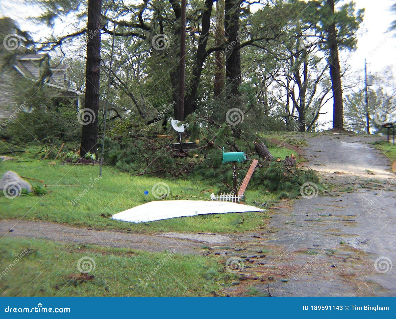 Trees and Utility Lines Down after Storm Stock Image - Image of house ...