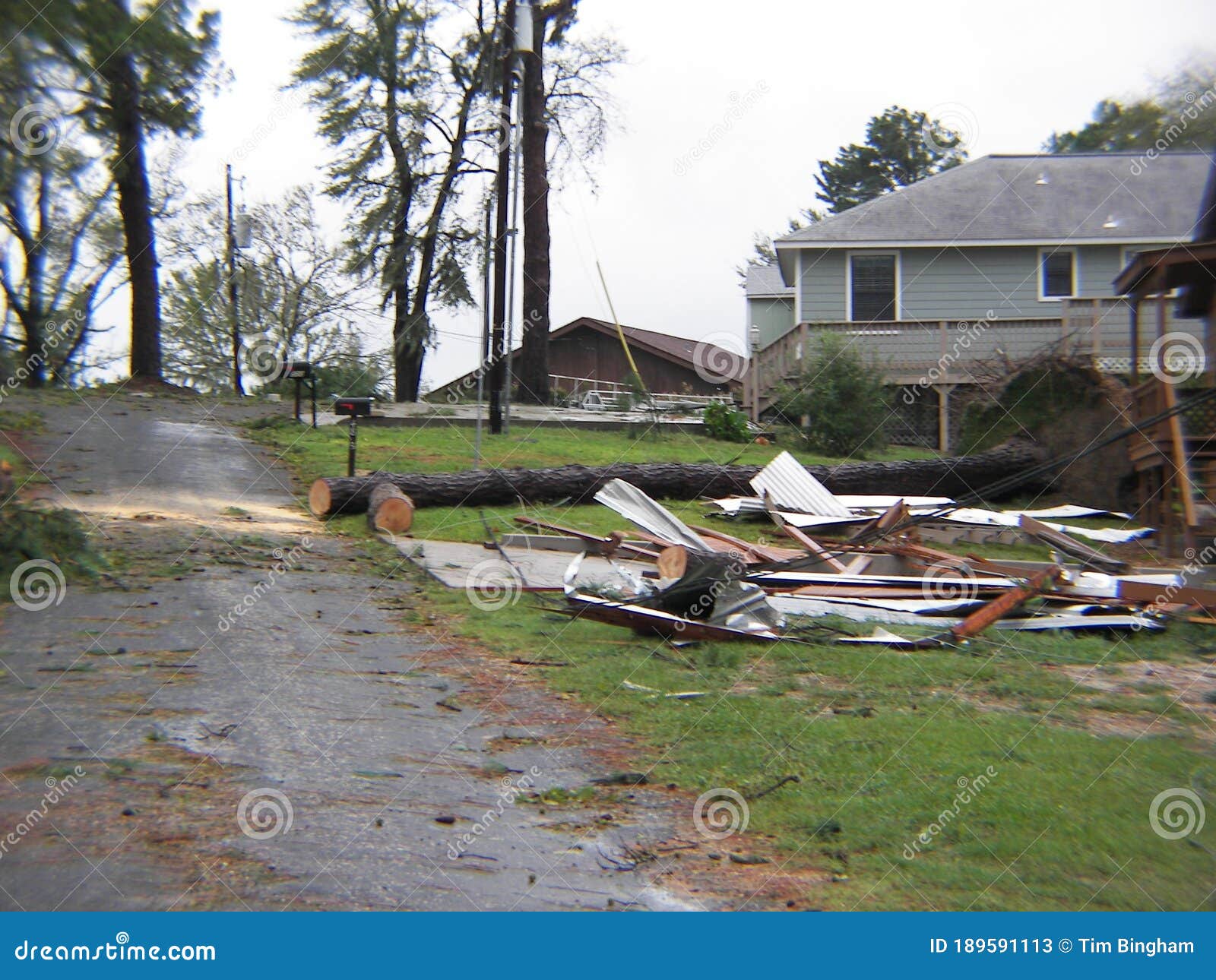 Trees and Utility Lines Down after Storm Stock Image - Image of utility ...