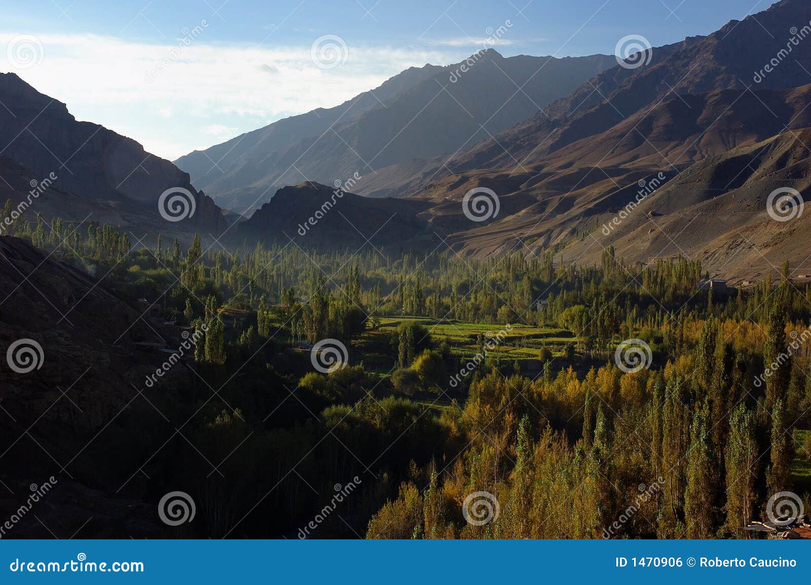 Trees valley stock photo. Image of himalaya, peak, rocks - 1470906