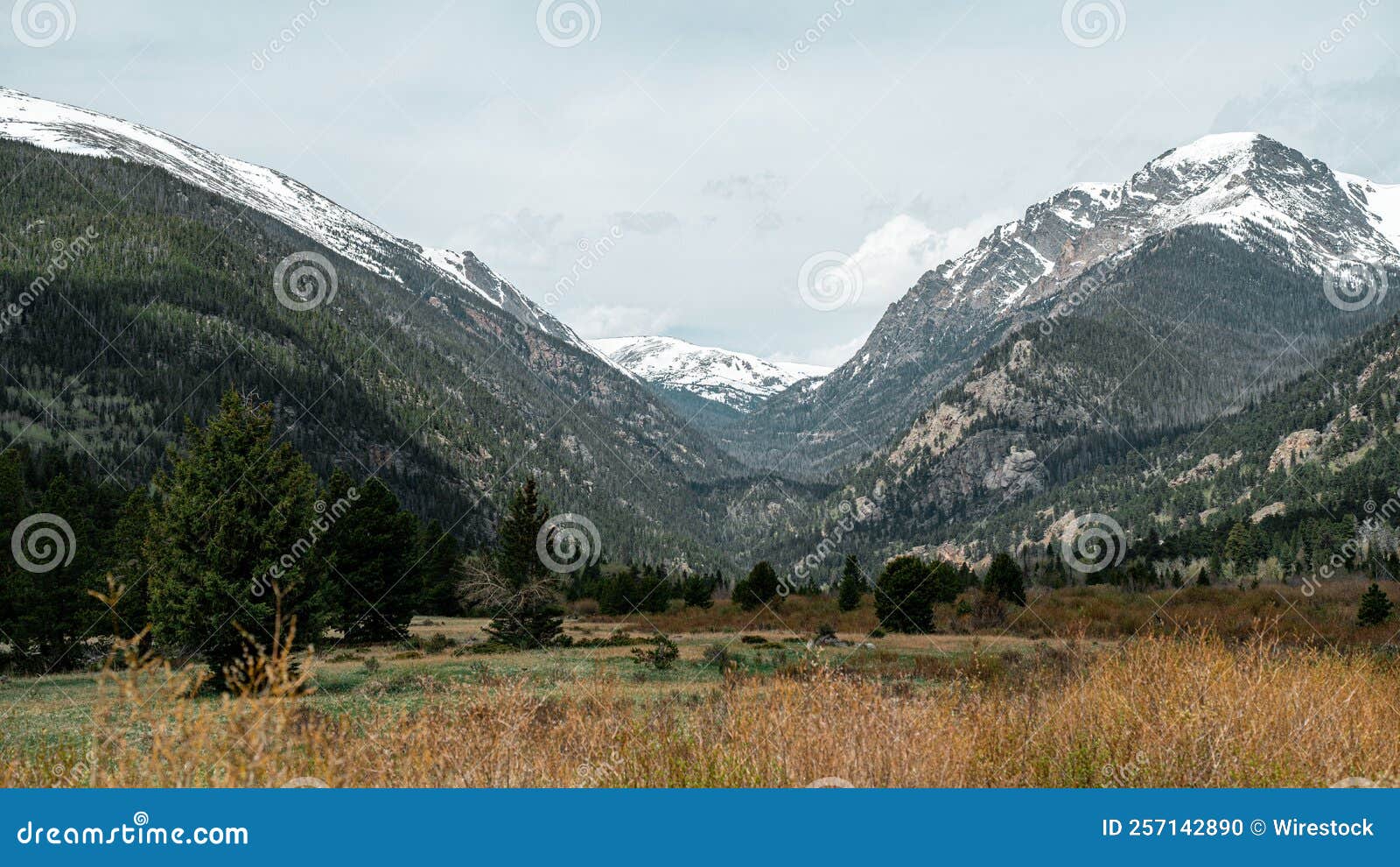 Trees on the Valley with a Mountain Top Covered with Snow Stock Photo ...