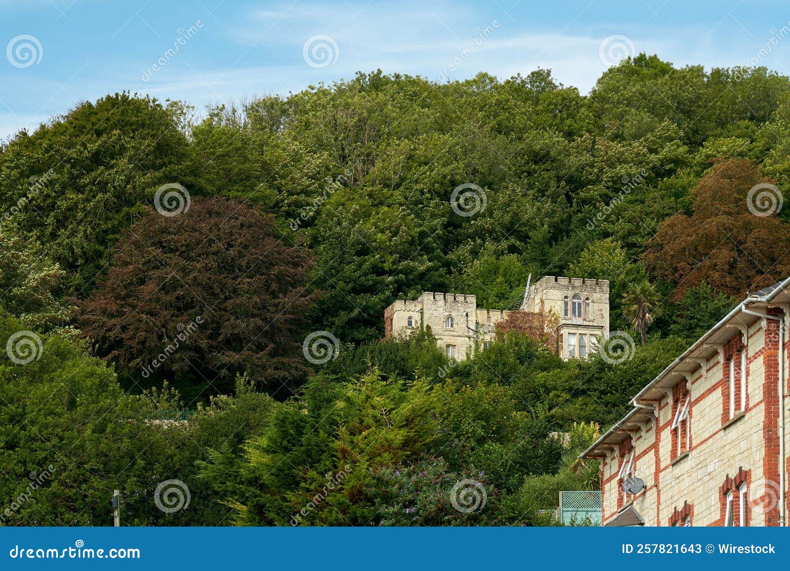 Trees of Ventnor Downs in Ventnor on the Isle of Wight Editorial Stock ...