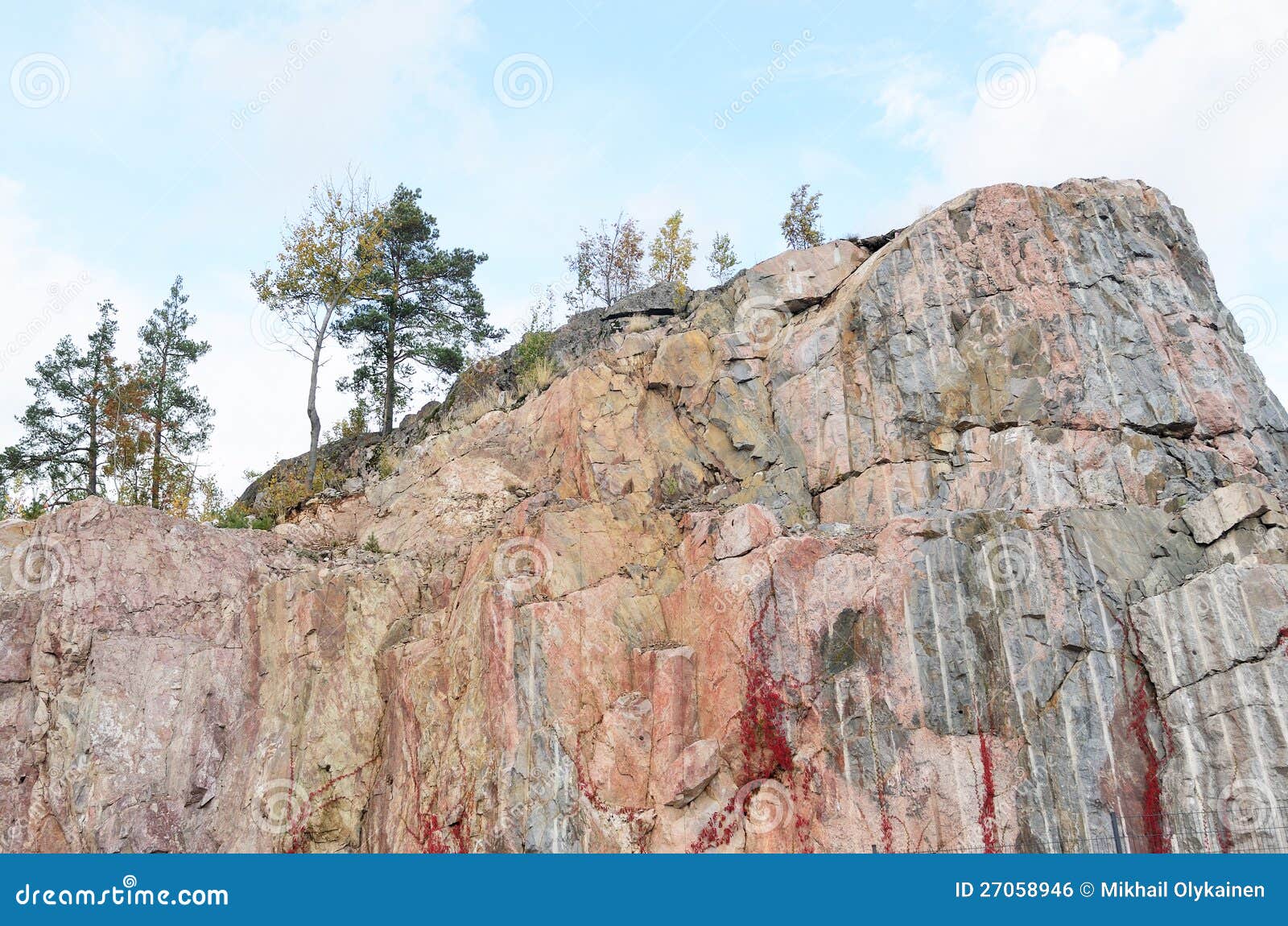 Trees on a vertical rock stock photo. Image of falls - 27058946