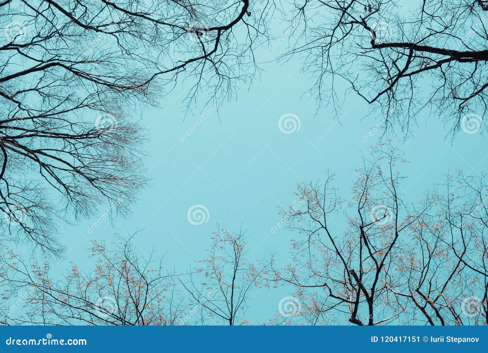 Trees View from Above with Blue Sky Stock Image - Image of nature ...