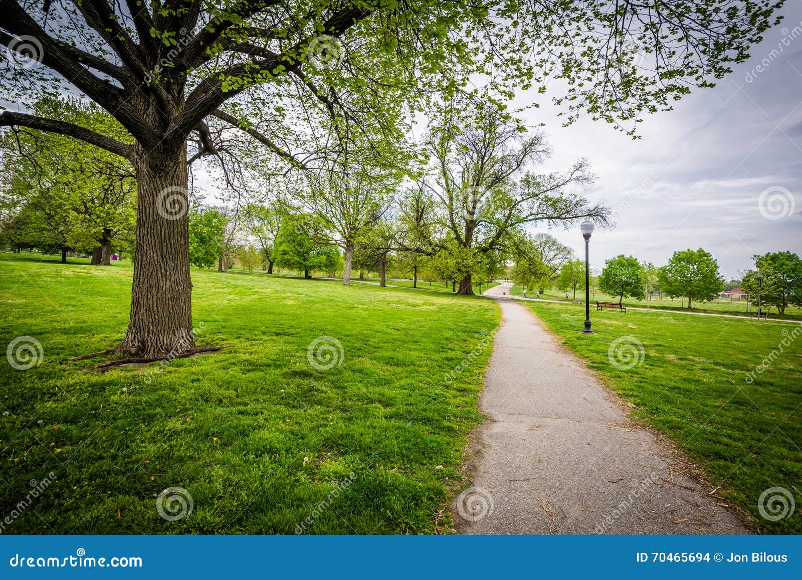 Trees and Walking Path at Patterson Park, Baltimore, Maryland. Stock ...