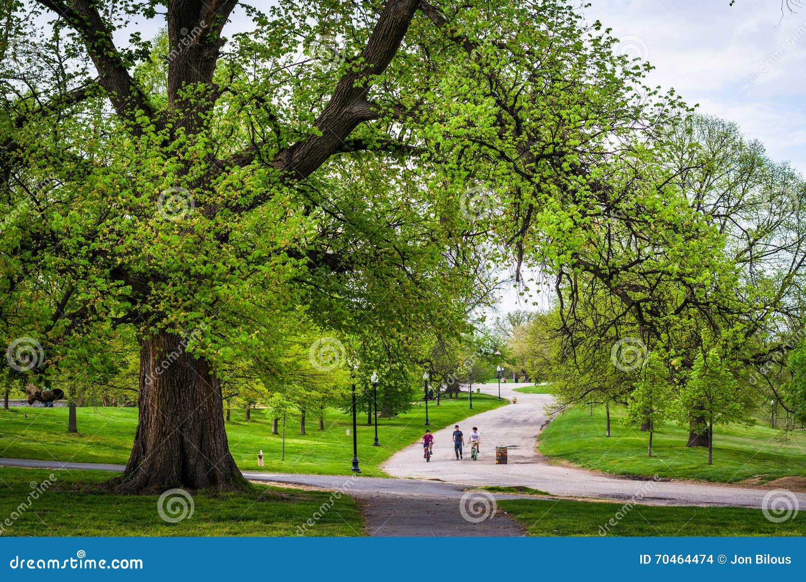 Trees and Walking Paths at Patterson Park, Baltimore, Maryland ...