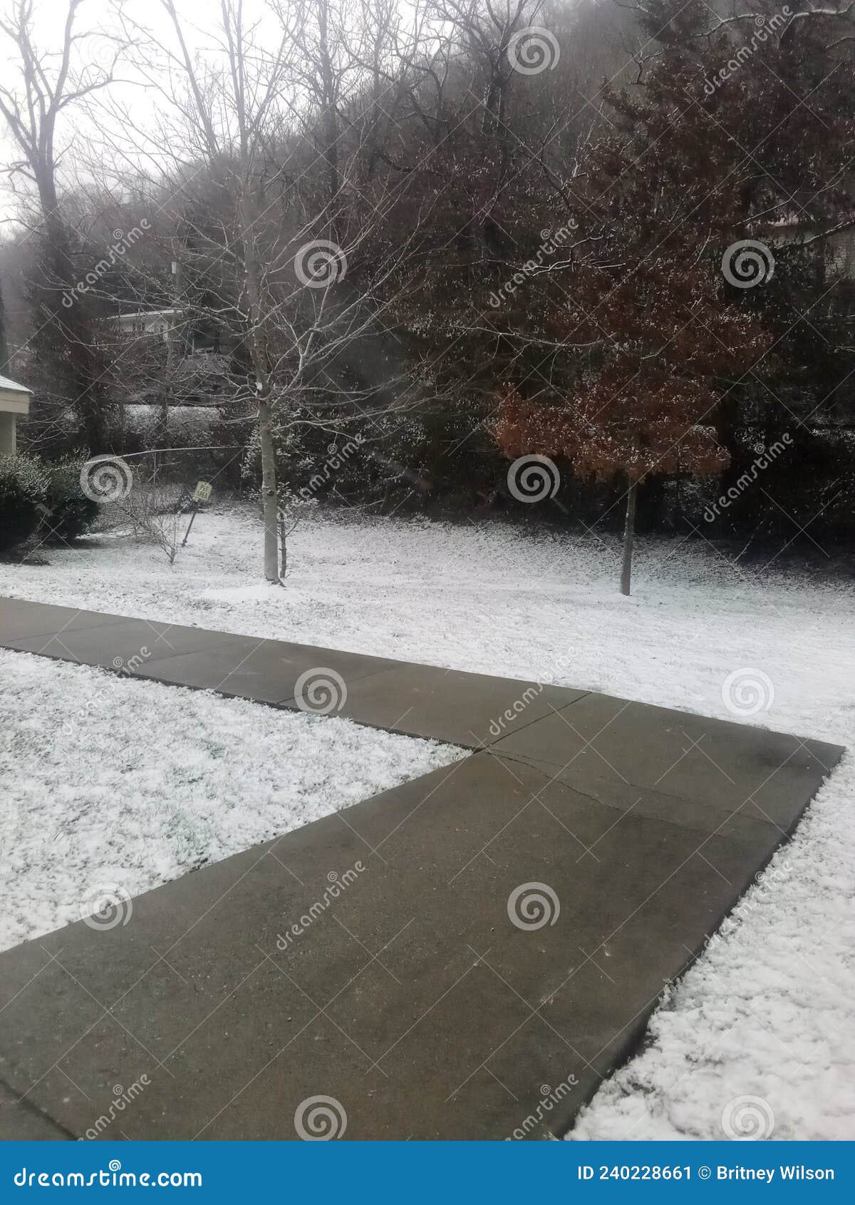 Trees walkway snow stock image. Image of floor, frost - 240228661