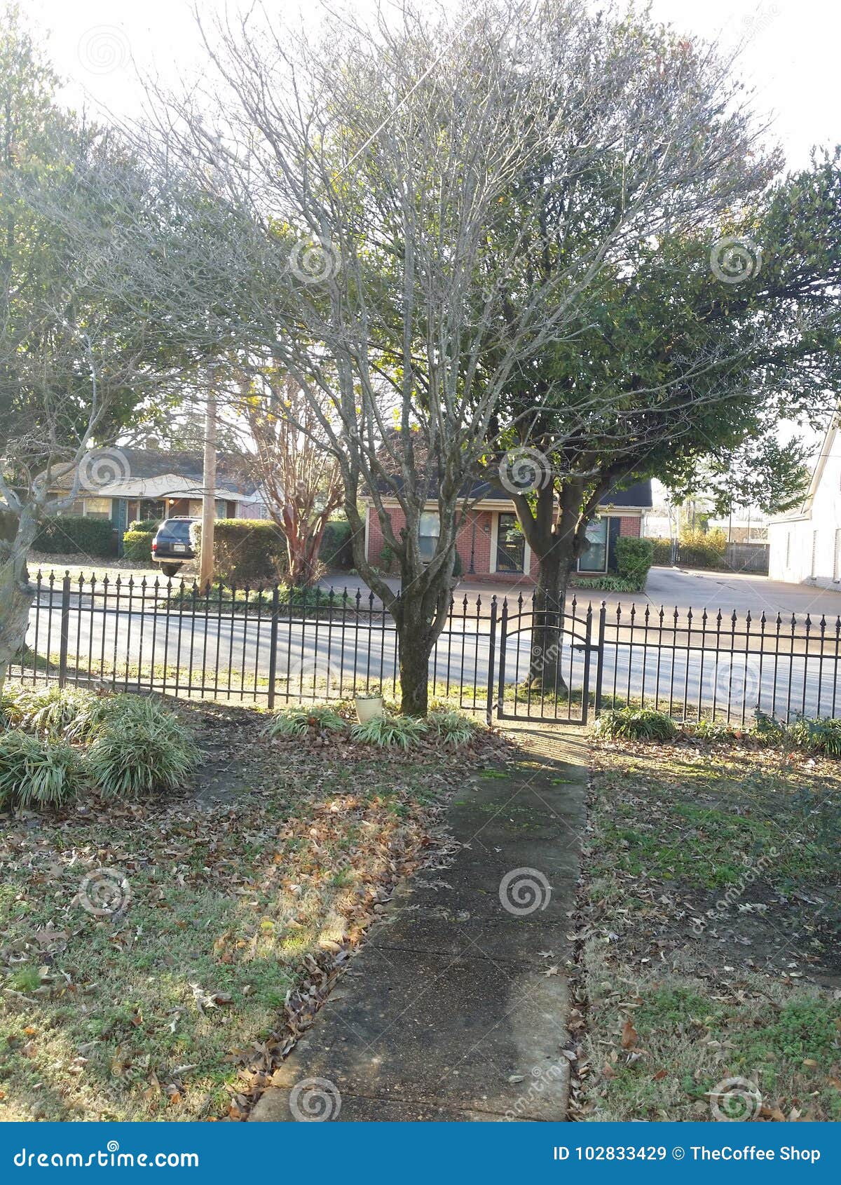 Trees Walkway stock image. Image of sunshine, walkway - 102833429