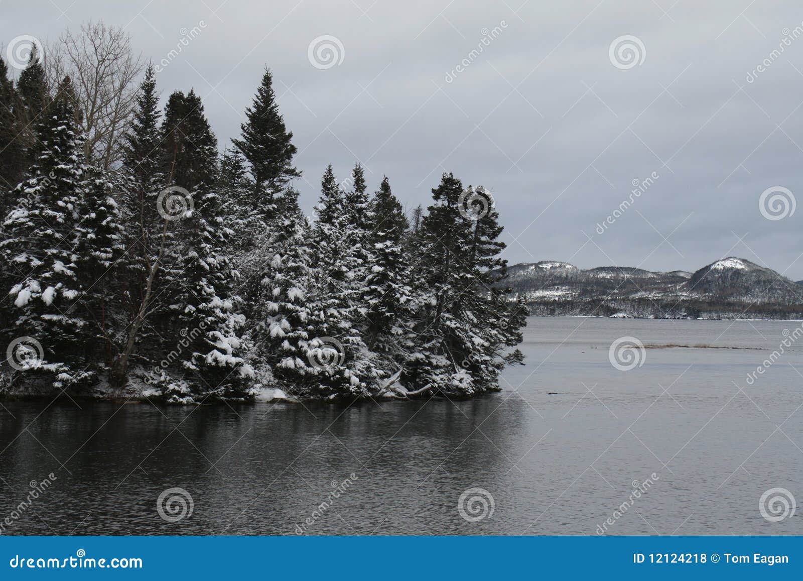 Trees by the water stock photo. Image of canada, trees - 12124218