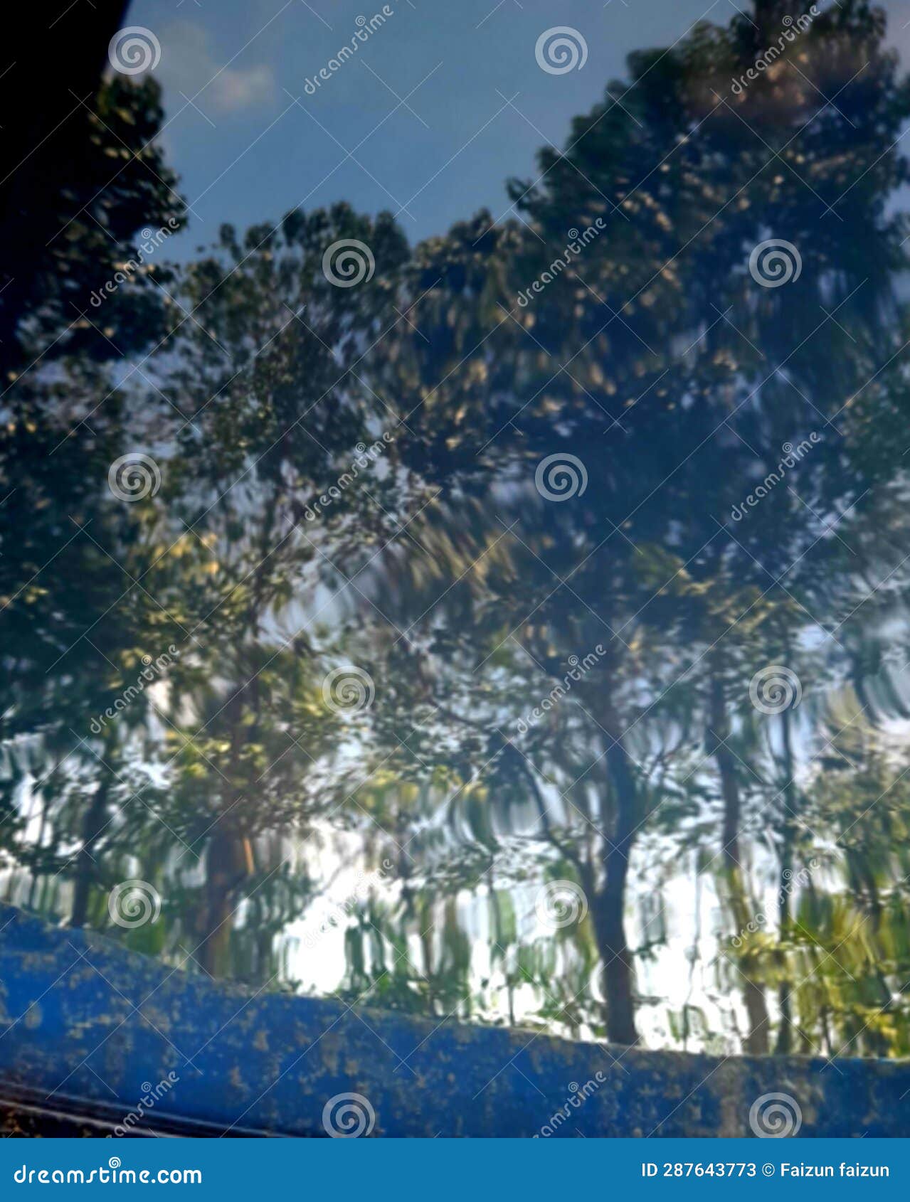 Trees on Water Mirror stock image. Image of water, mirror - 287643773