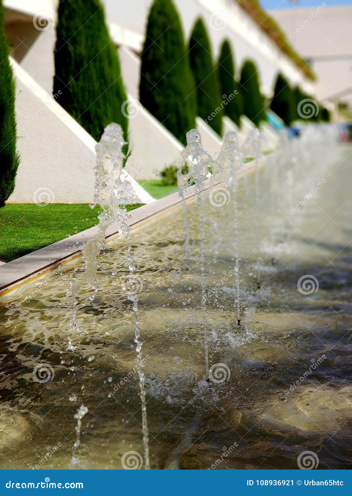 Trees water stock image. Image of trees, perspective - 108936921