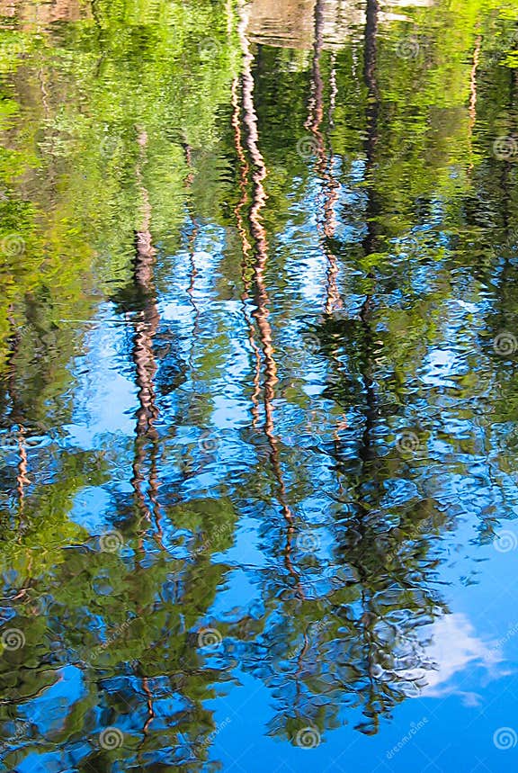 Trees Water Reflection stock photo. Image of background - 68989774