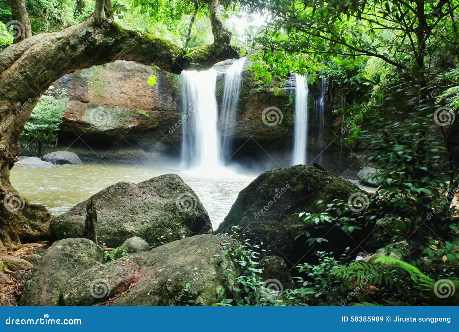 The Trees & Waterfall stock image. Image of green - 58385989