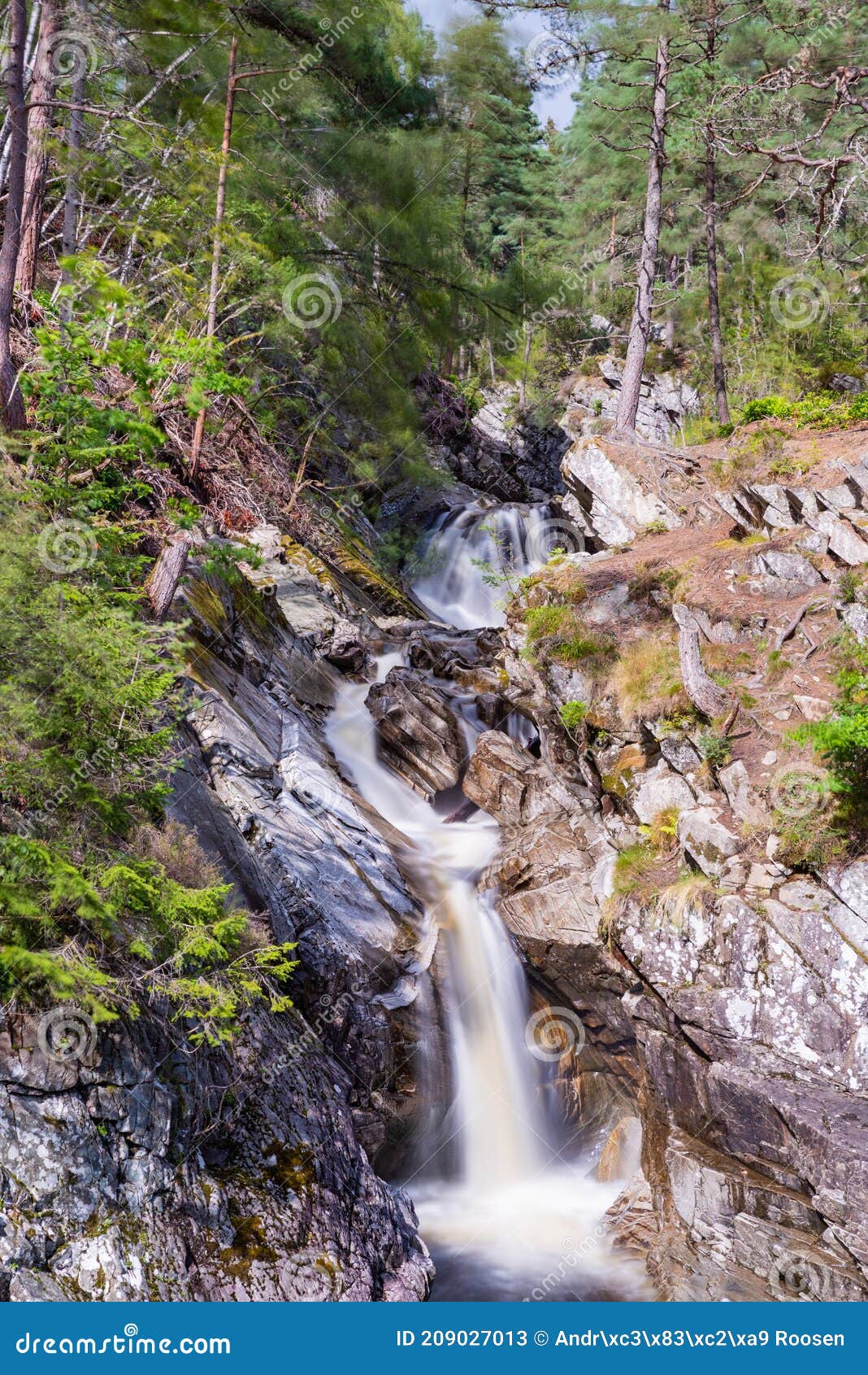 Trees and Waterfall Falls of Bruar Scotland Stock Image - Image of ...