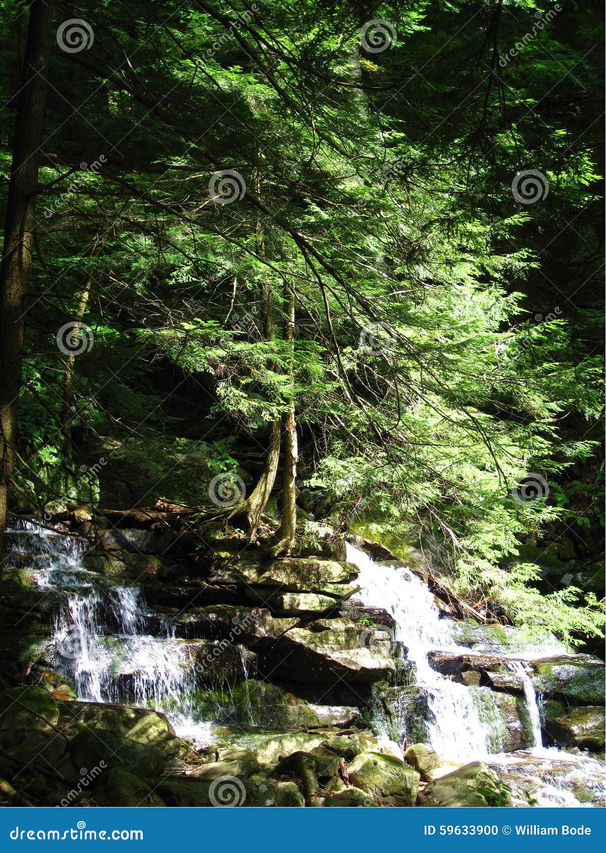 Peaceful Waterfall on Mountain Stream Stock Photo - Image of trees ...