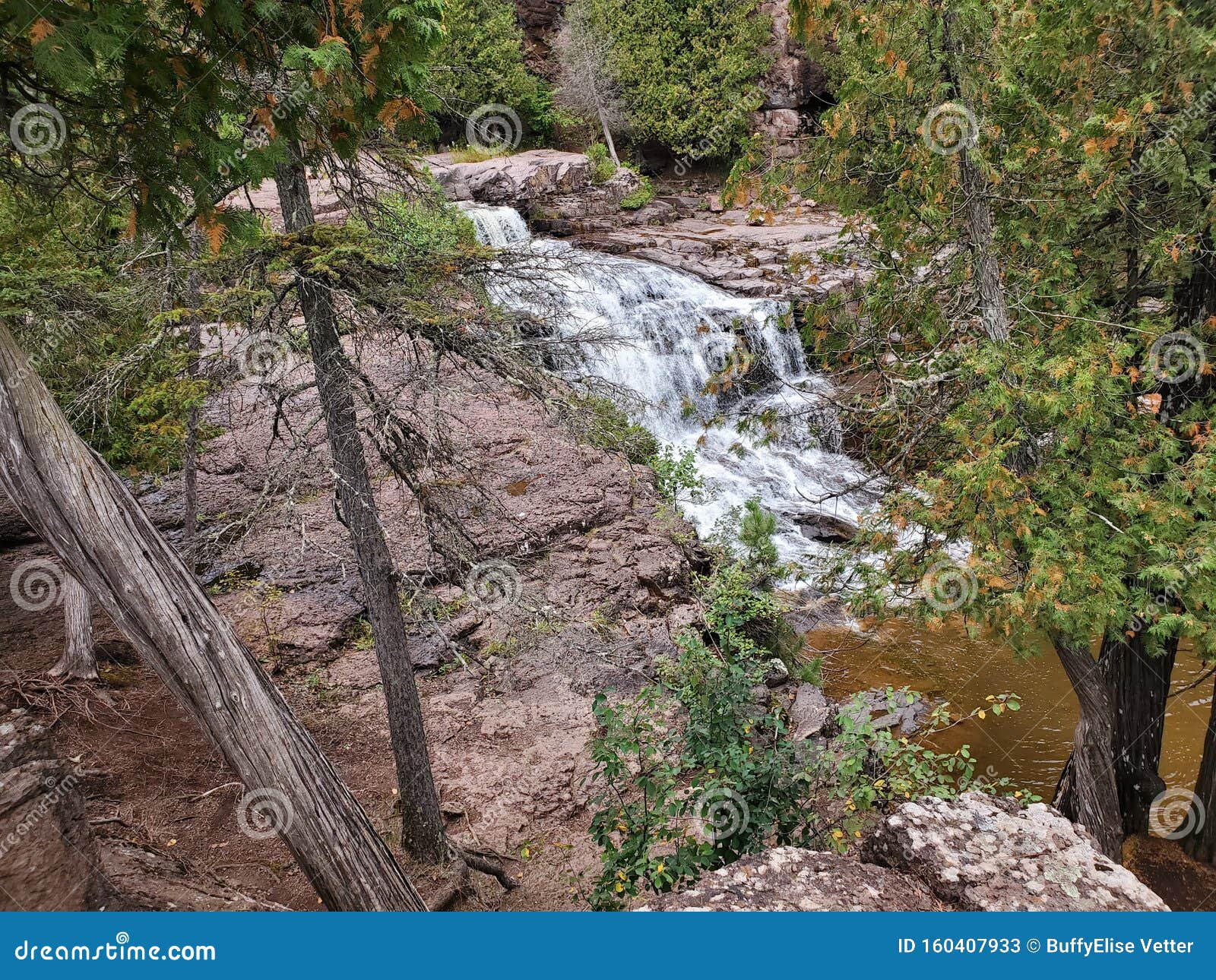 Trees on the Waterfall stock image. Image of water, nature - 160407933