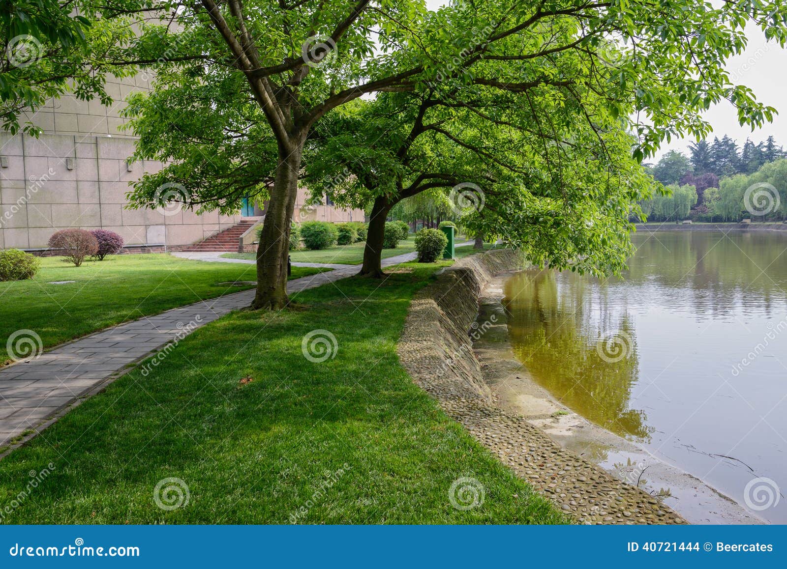 Trees at Waterside in Sunny Spring Stock Photo - Image of plants ...