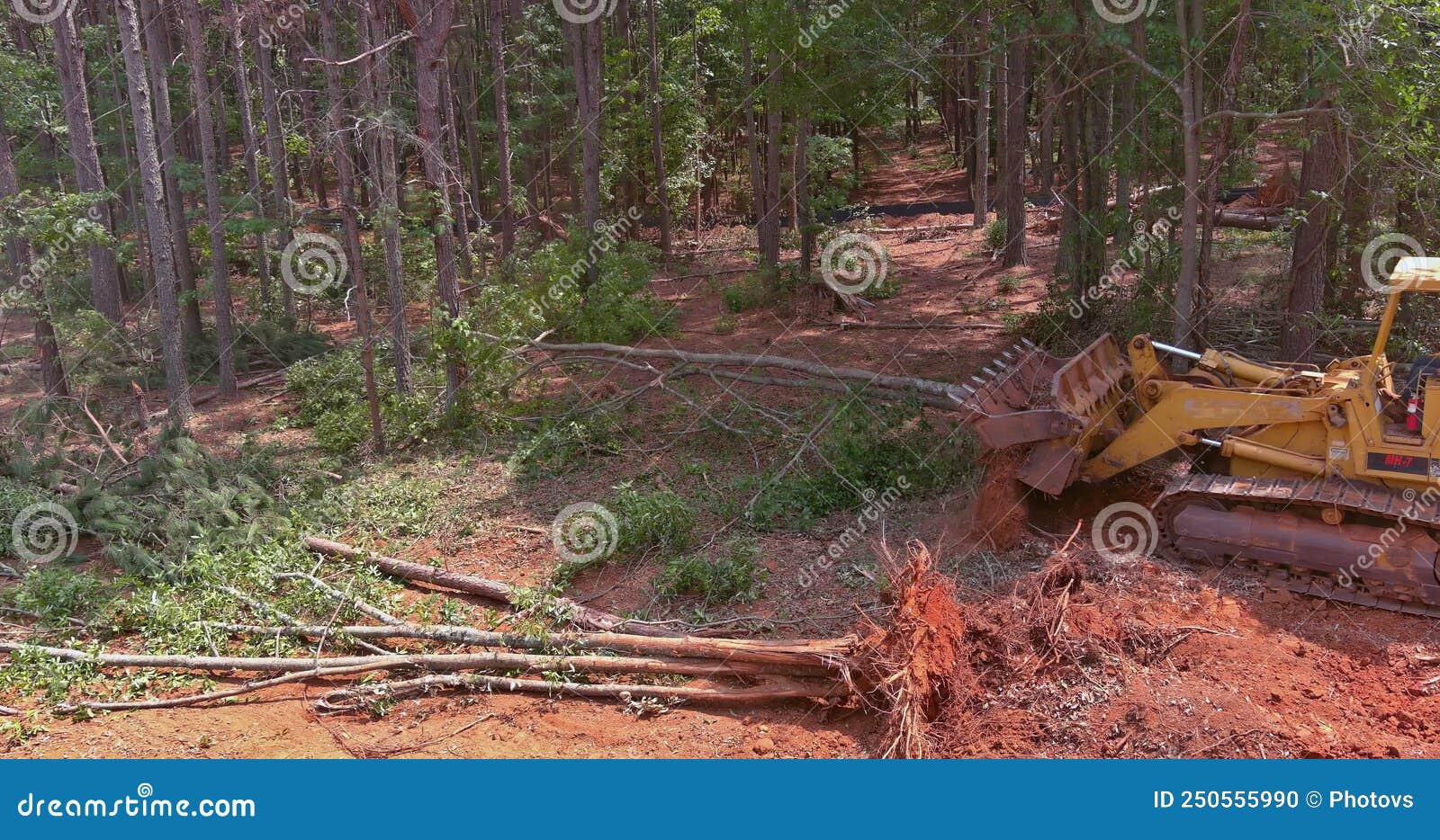 Trees Were Removed from a Subdivision for a Housing Development Stock ...