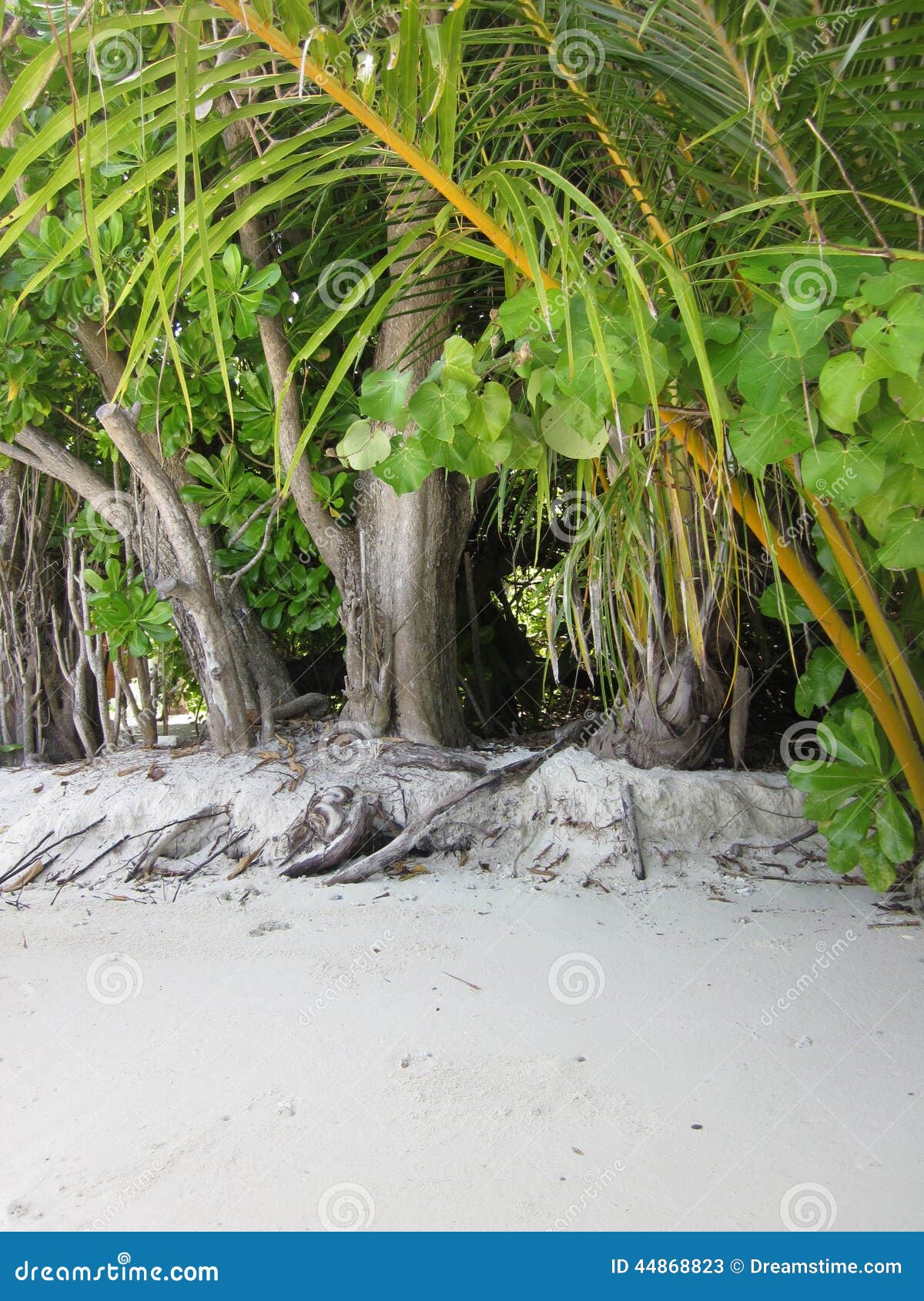 White Ssand Stock Photos - Free & Royalty-Free Stock Photos from Dreamstime