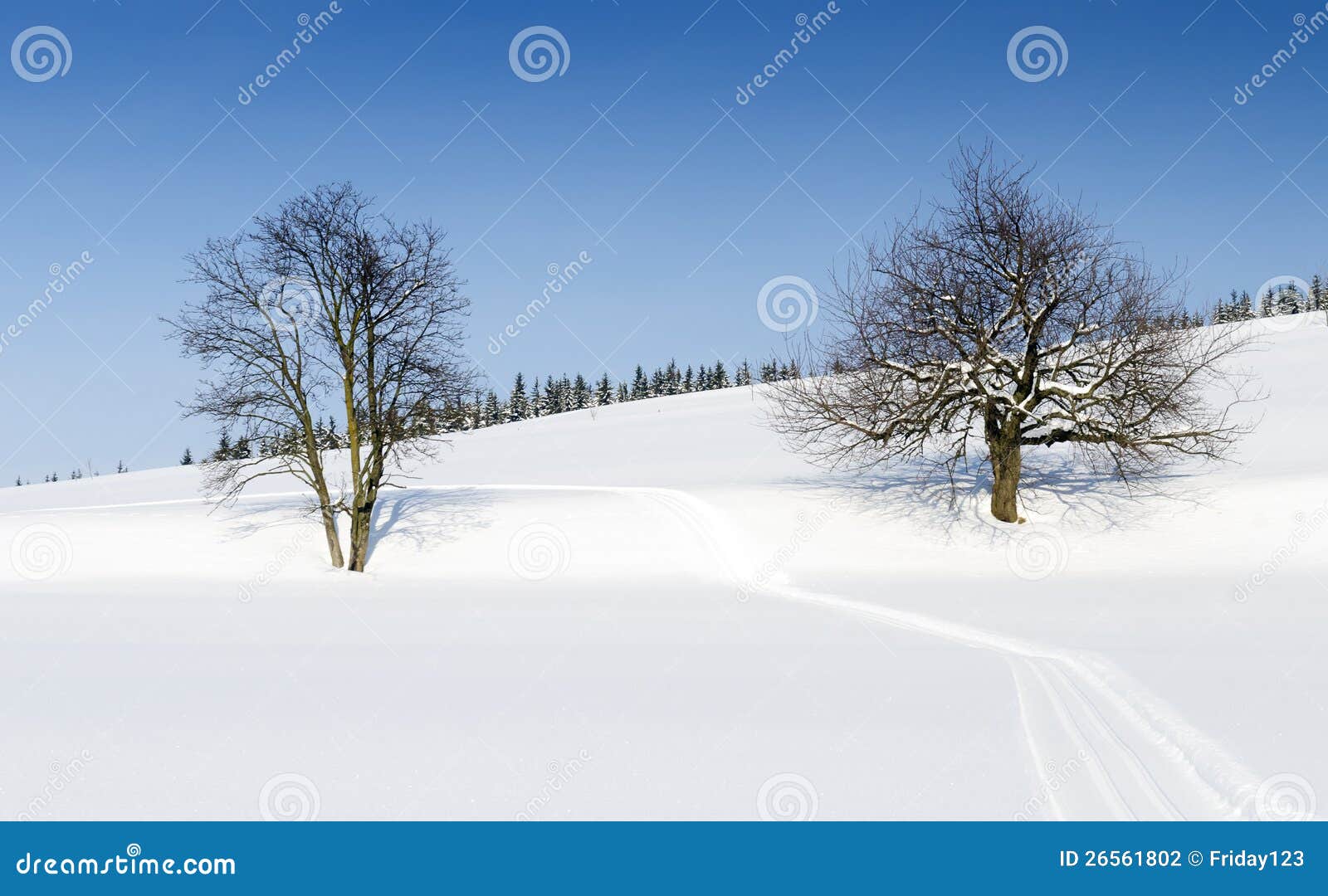 Trees in winter landscape stock photo. Image of tree - 26561802
