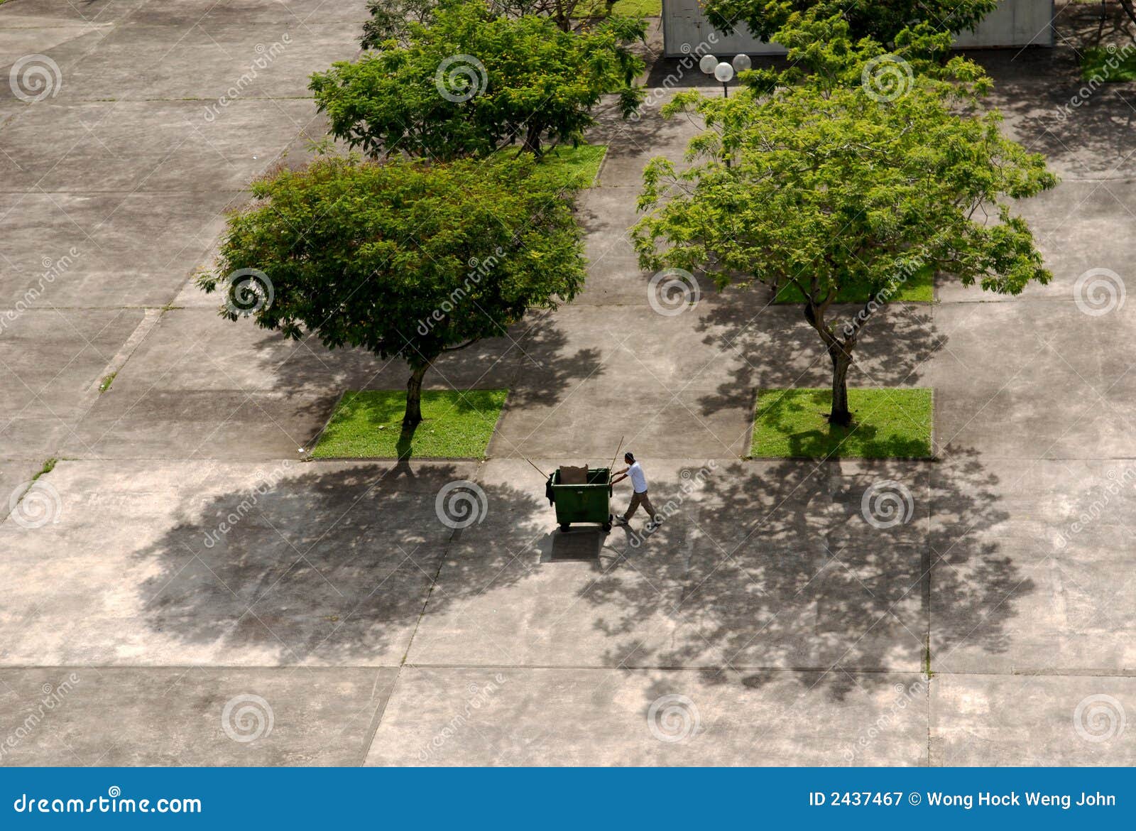 Trees and worker stock image. Image of work, pushing, action - 2437467