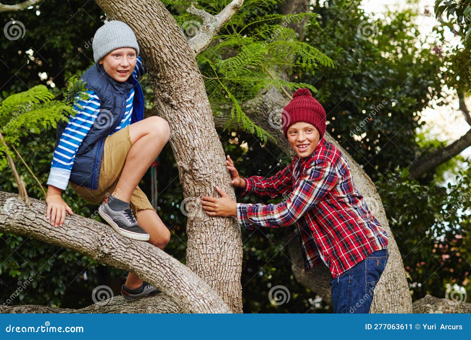 Treetop Adventurers. Two Boys Climbing a Tree Together. Stock Image ...