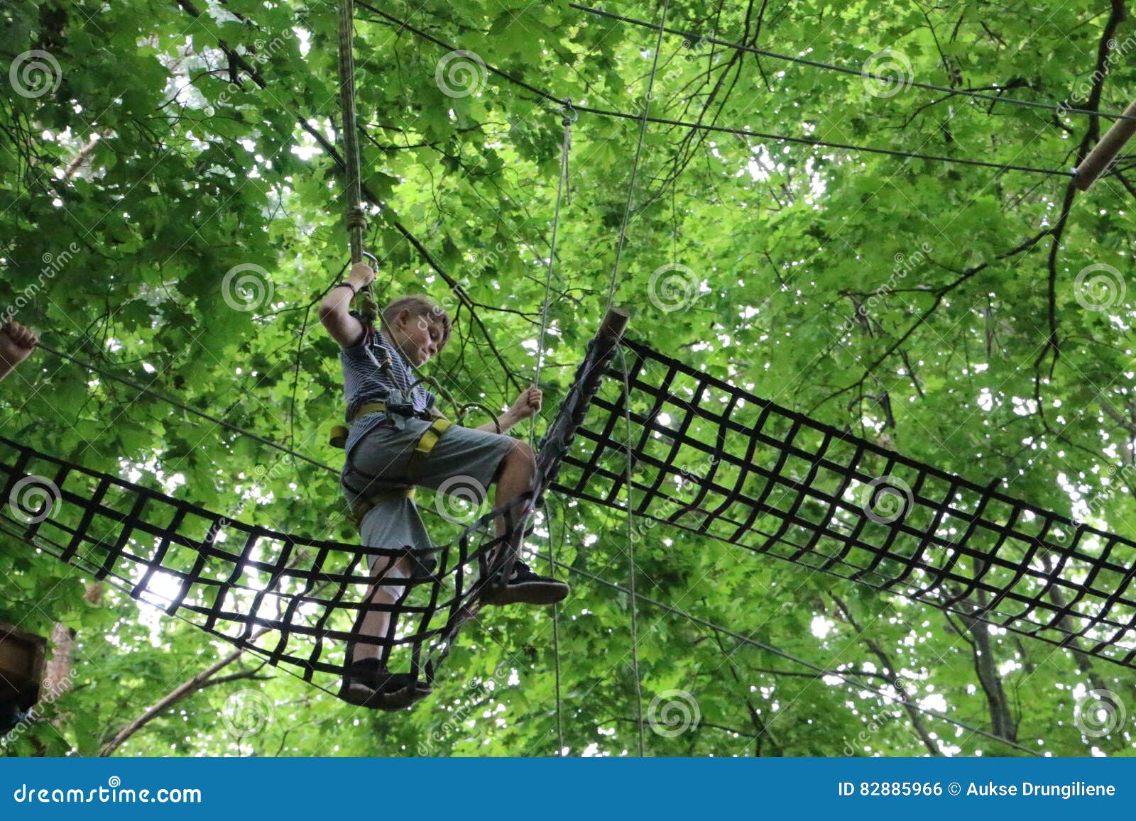 Treetop climbing editorial photo. Image of climbing, treetop - 82885966