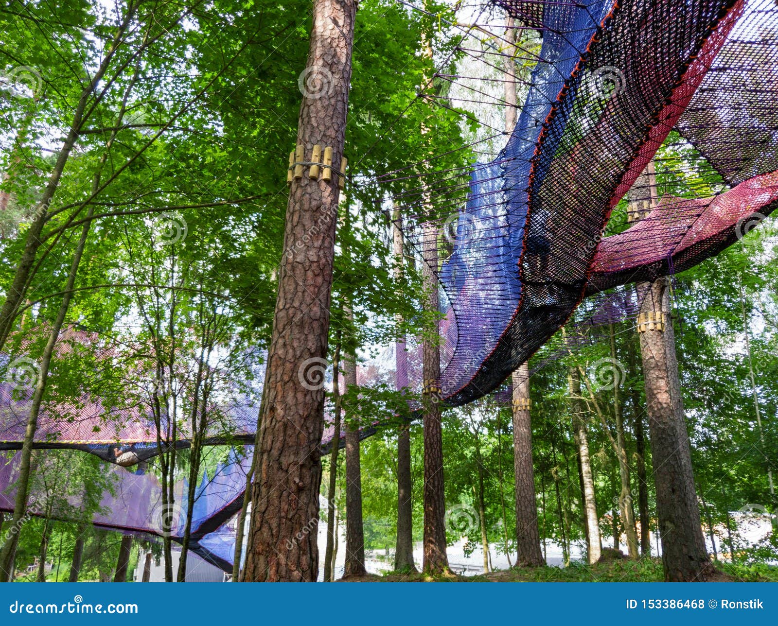 Treetop Net Trampoline Park in Forest Stock Photo - Image of summer ...