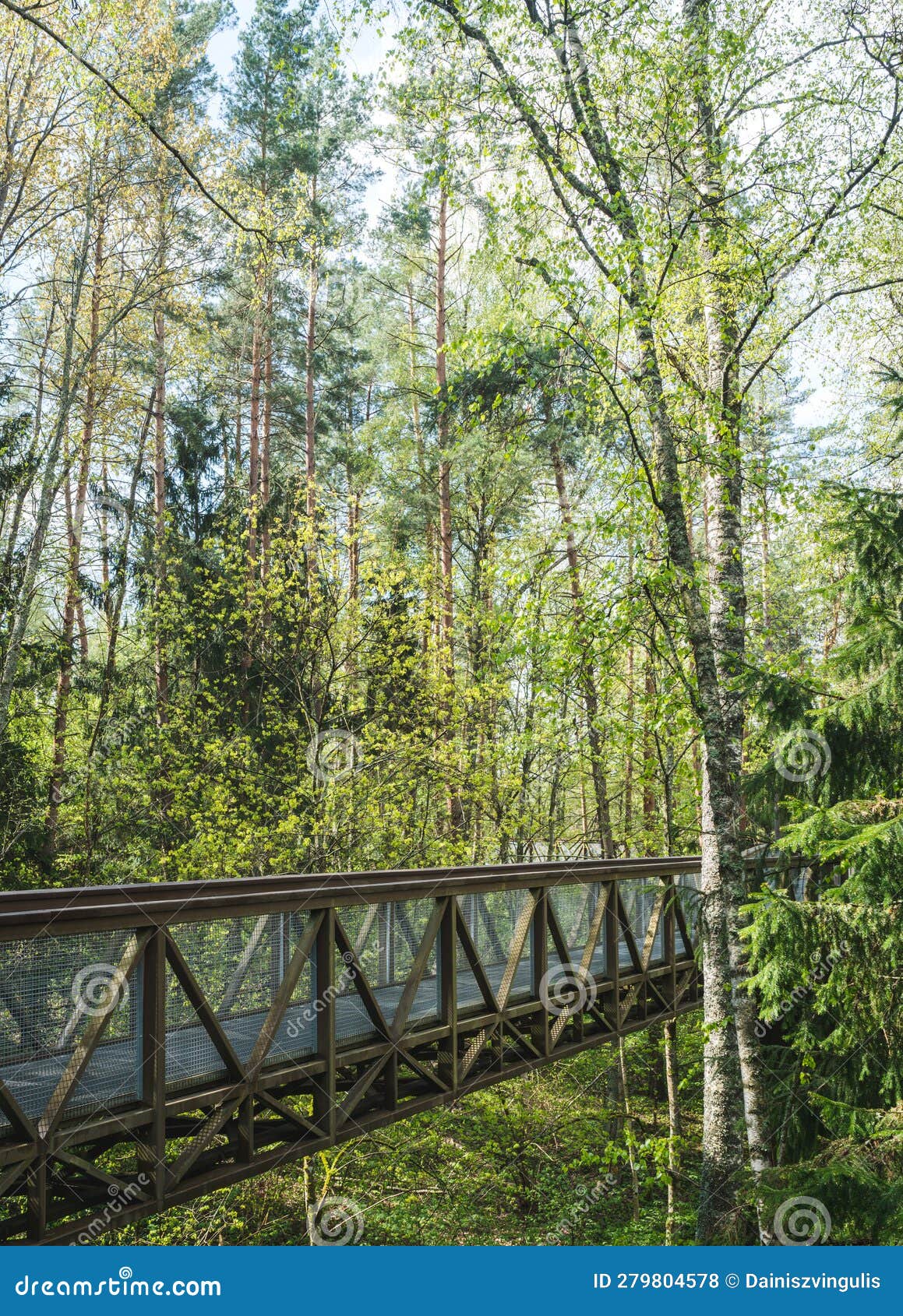 The Treetop Walking Path stock photo. Image of district - 279804578