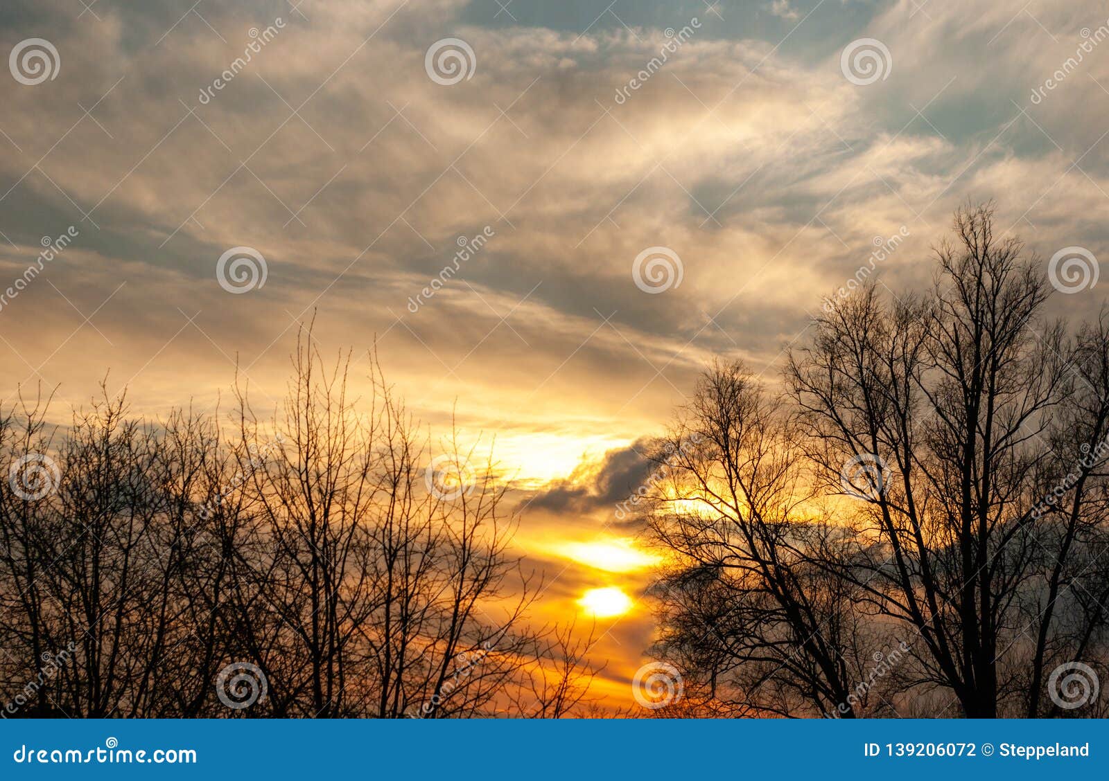 Treetops and Sunset Sky Background Stock Photo - Image of clouds, thin ...