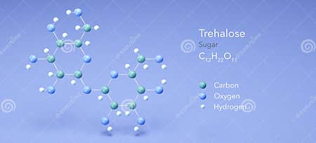 Trehalose, Molecular Structures, Sugar, 3d Model, Structural Chemical ...