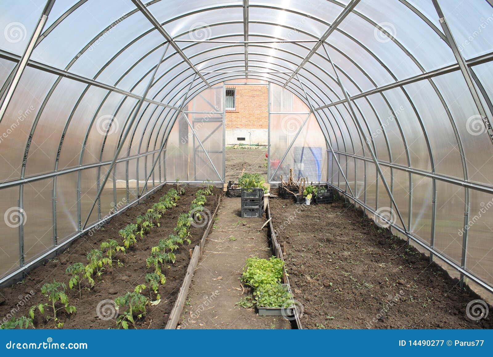 Treibhaus nach innen stockbild. Bild von hoch, struktur - 14490277