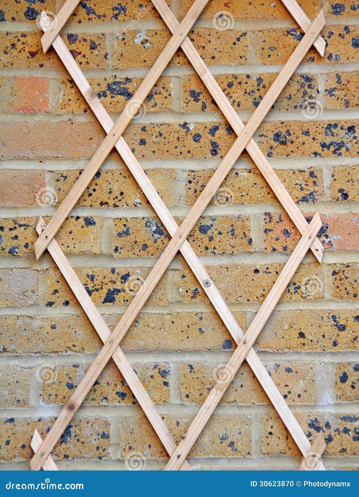 Treillis de mur de jardin photo stock. Image du normal - 30623870