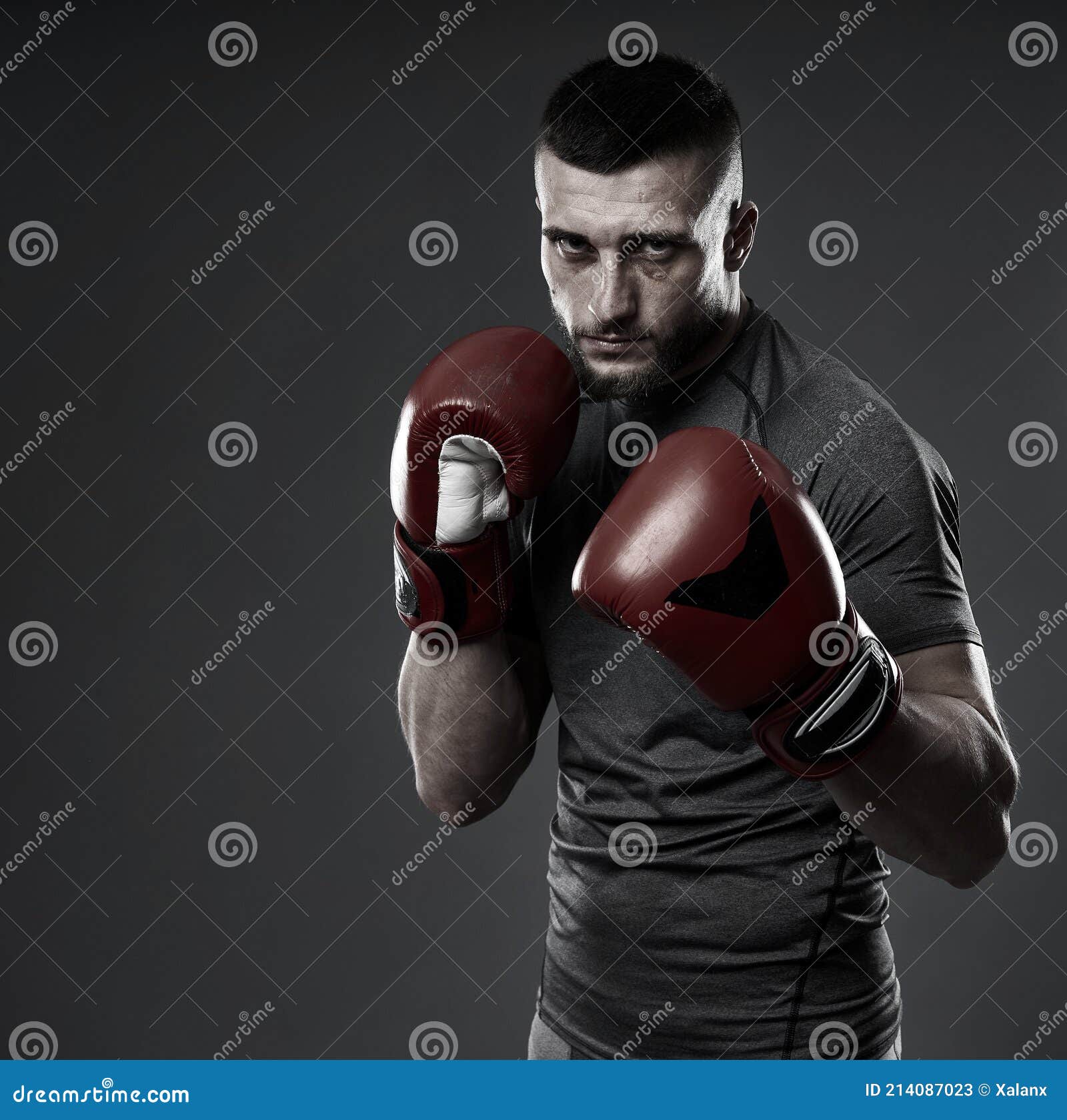 Treino de combate mma imagem de stock. Imagem de combate - 214087023