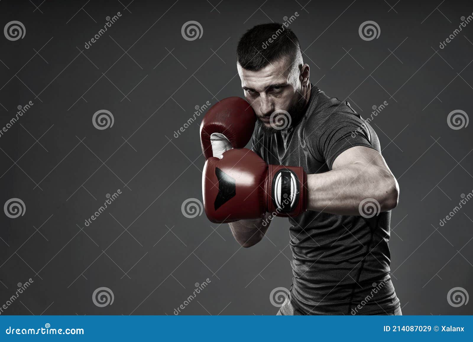Treino de combate mma imagem de stock. Imagem de ativo - 214087029