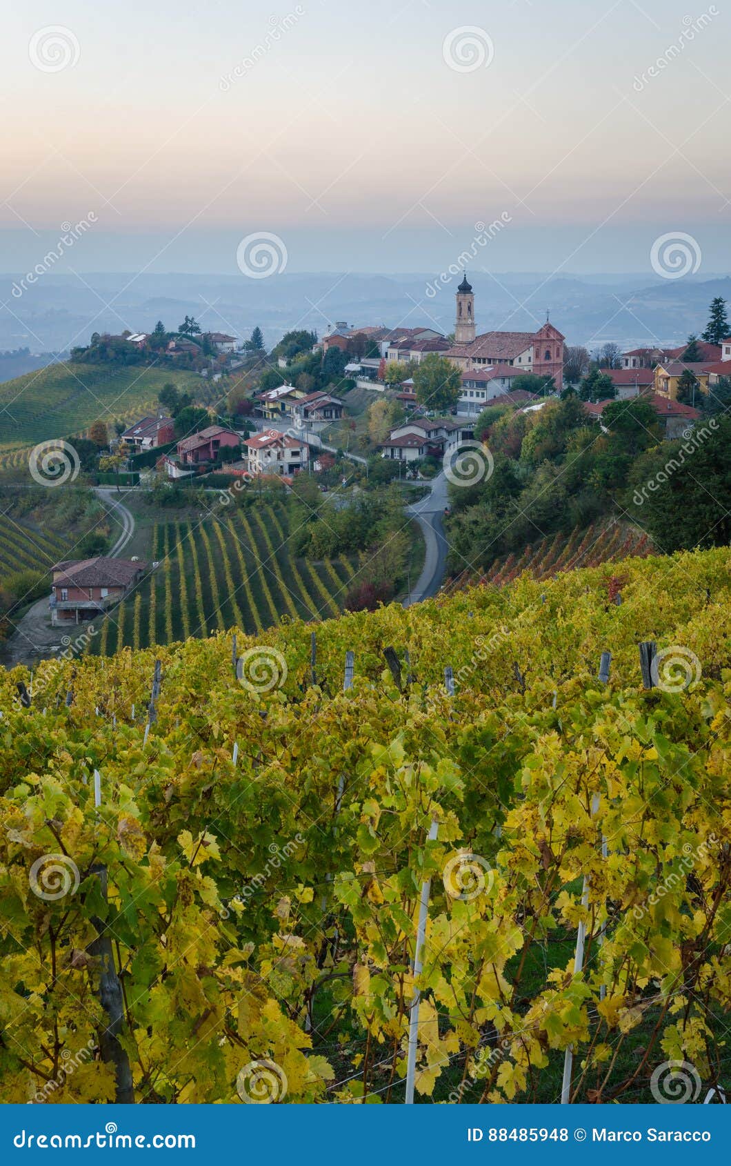Treiso Le Langhe stock photo. Image of vineyard, colors - 88485948