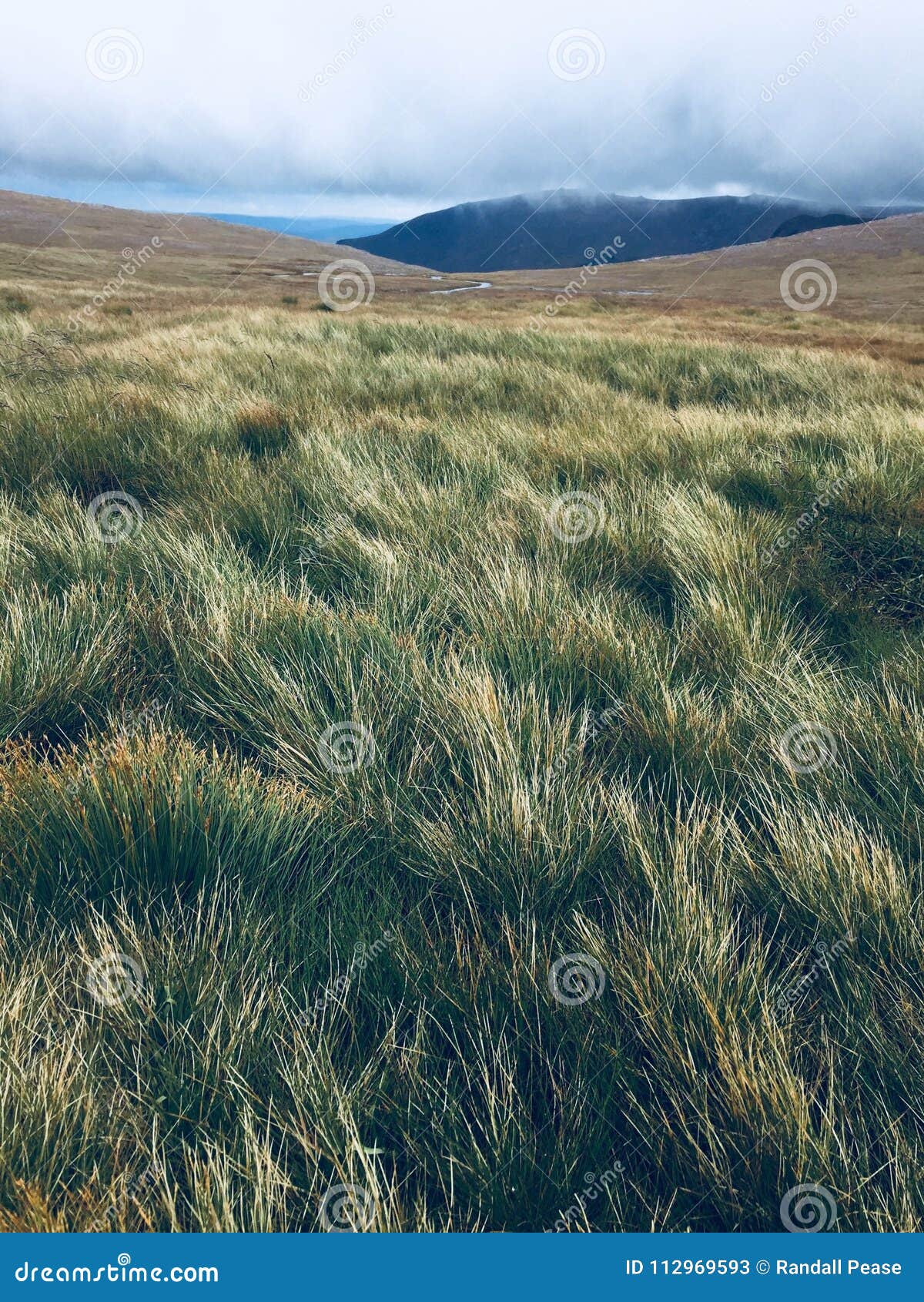 Scottish Highlands grass stock image. Image of macdui - 112969593