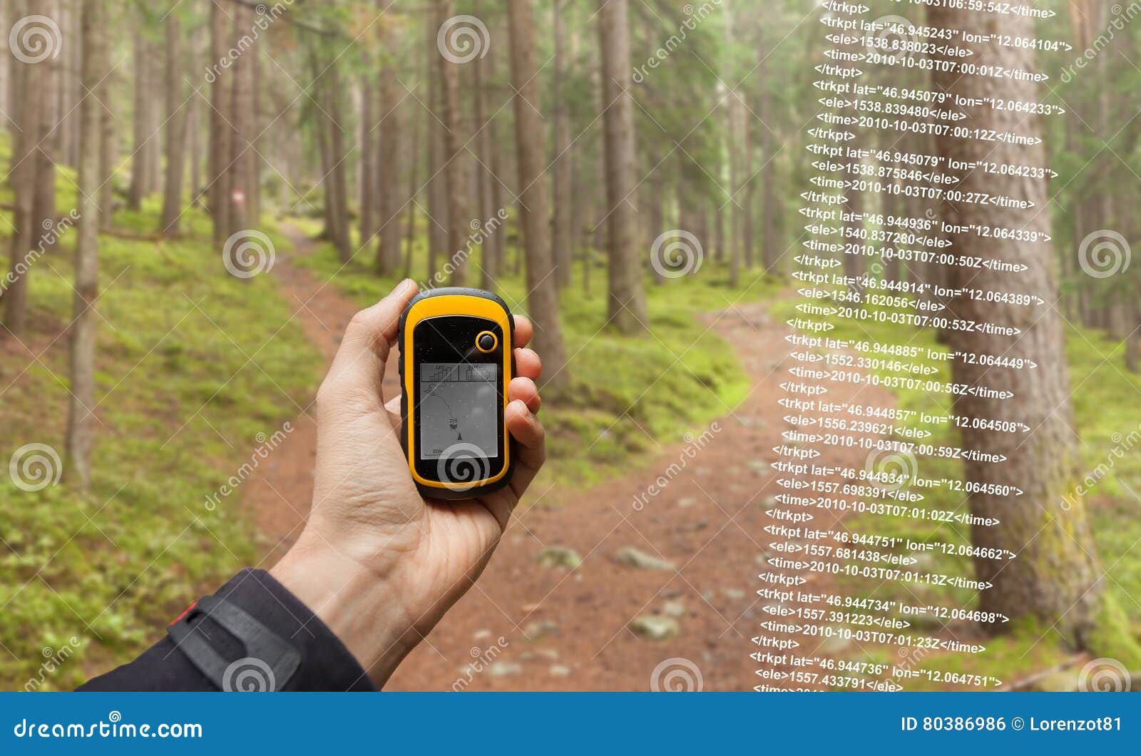 A Trekker is Finding the Right Position in the Forest Via Gps in a ...