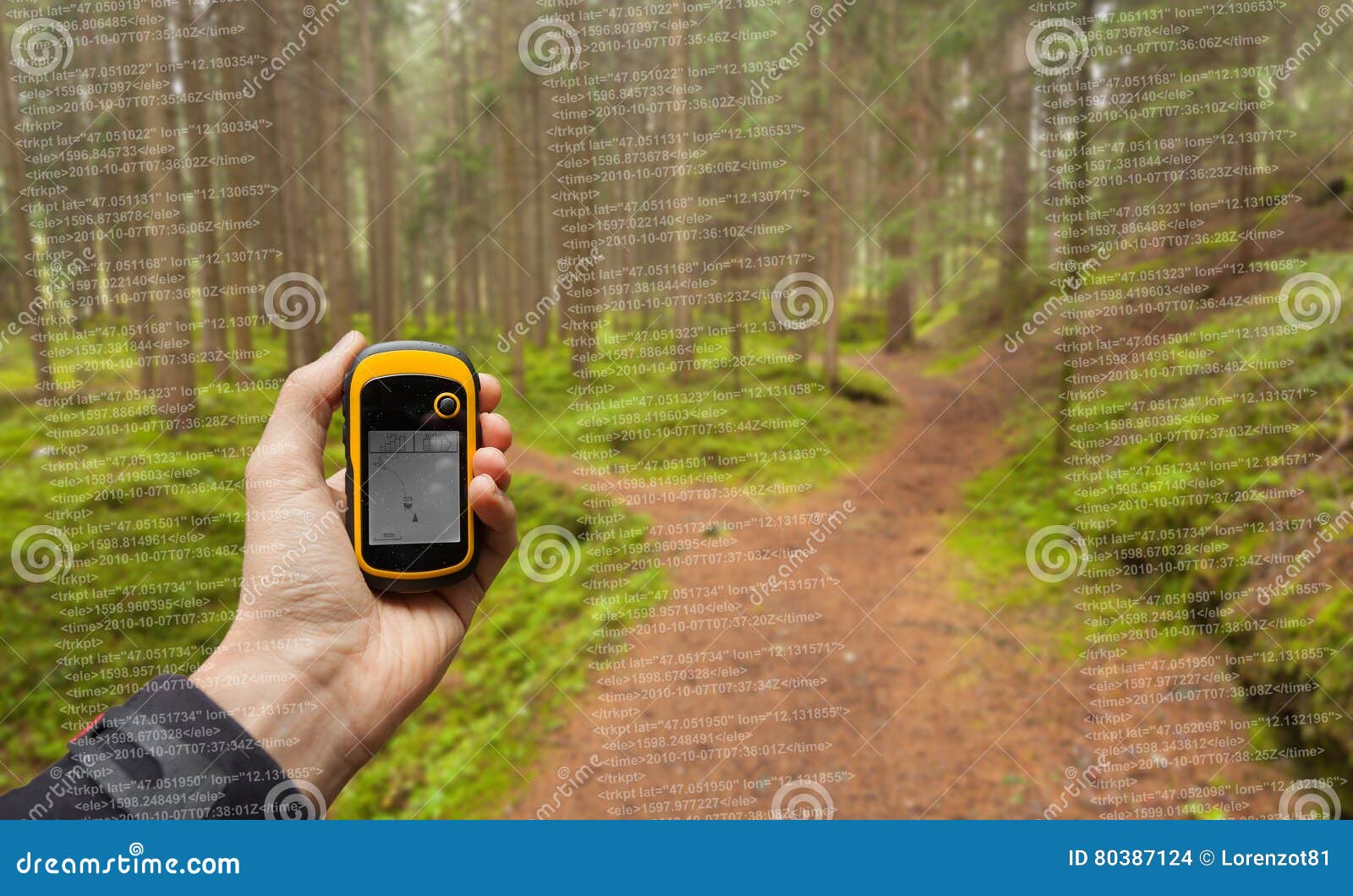 A Trekker is Finding the Right Position in the Forest Via Gps in a ...