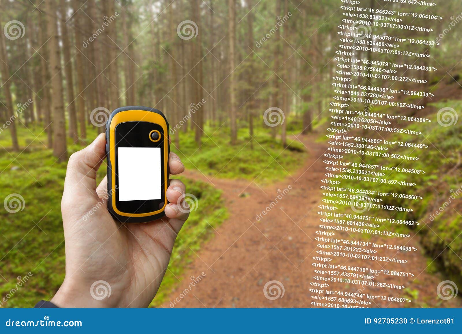 A Trekker is Finding the Right Position in the Forest Via Gps in a ...