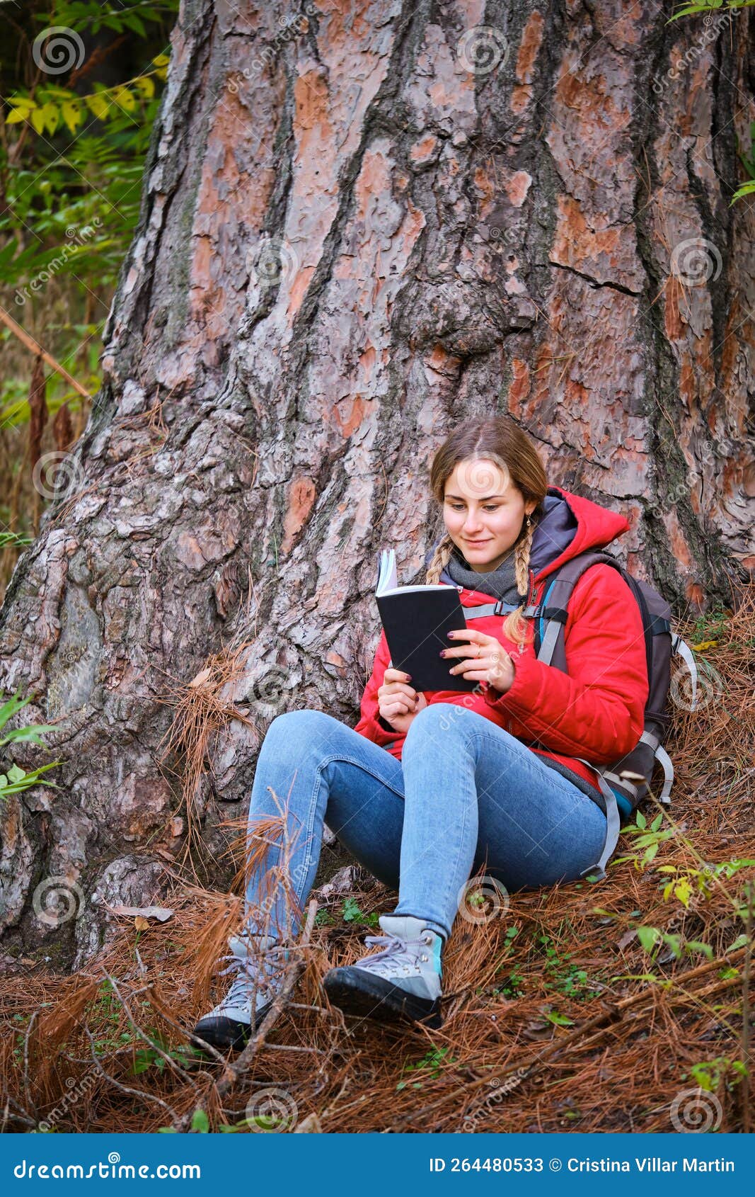 Trekker Reading a Book Under a Tree in the Forest. Stock Image - Image ...