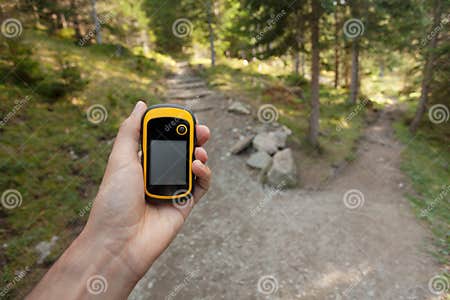 A Trekker Using a Gps Inside the Forest Stock Photo - Image of security ...
