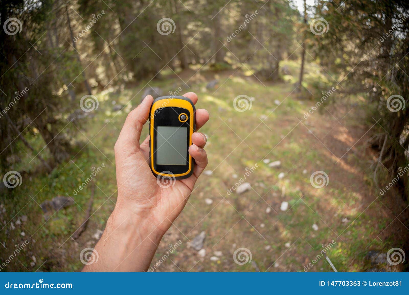 A Trekker Using a Gps Inside the Forest Stock Image - Image of forest ...