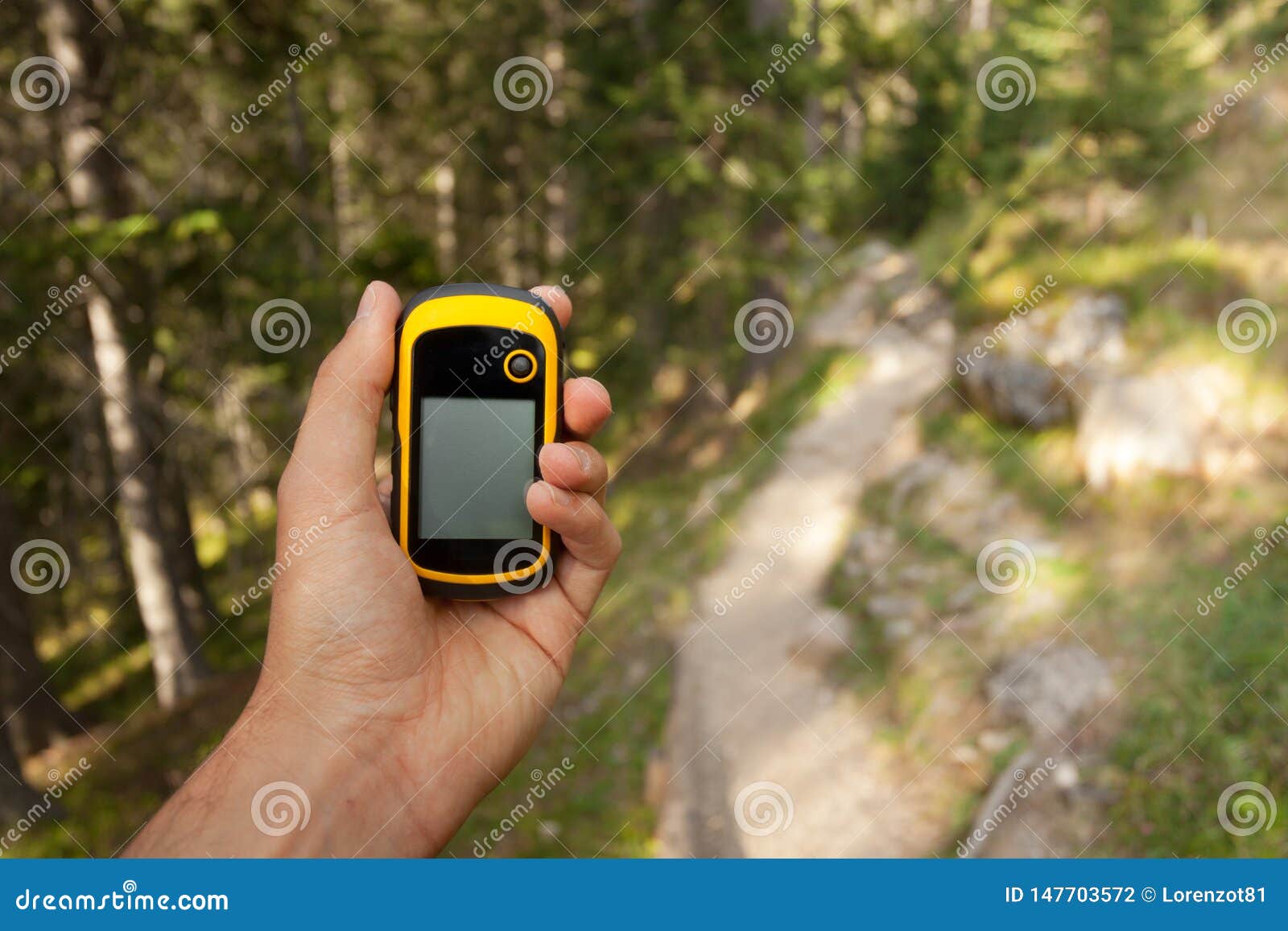 A Trekker Using a Gps Inside the Forest Stock Photo - Image of navigate ...