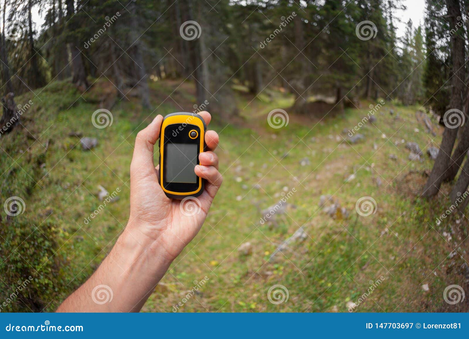 A Trekker Using a Gps Inside the Forest Stock Image - Image of ...
